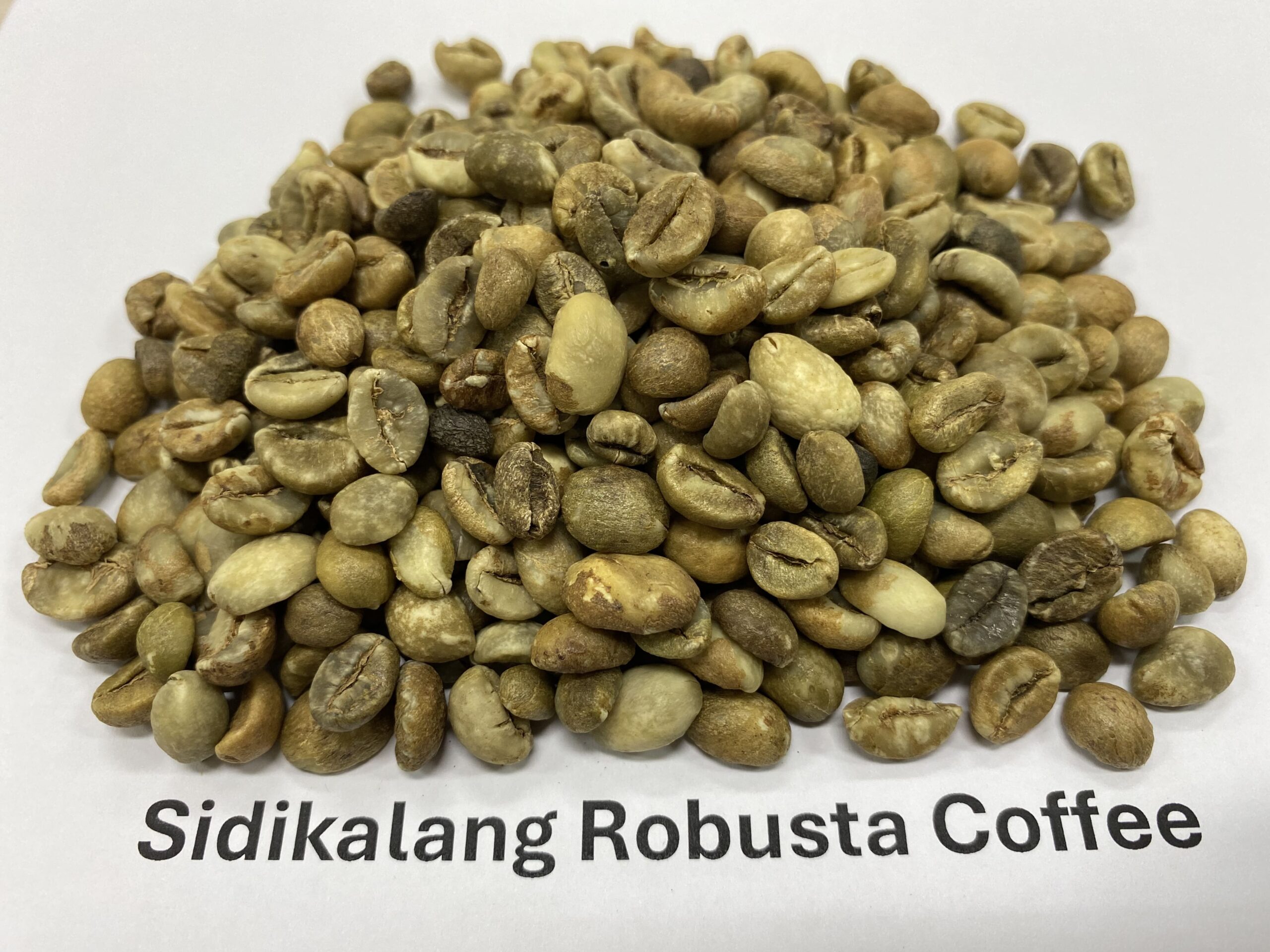 Sidikalang Robusta Coffee - javaproduct.com